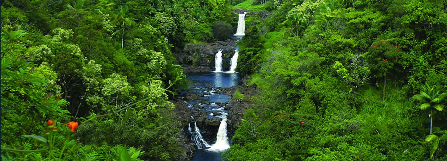 Umauma Falls Zipline Experience Tours | Big Island Guide