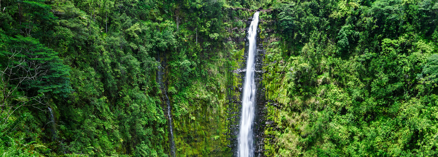 Guide to National and State Parks in Hawaii | Big Island Guide