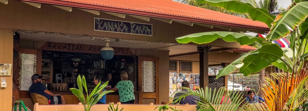 What is Kava? and Where To Try It? | Big Island Guide