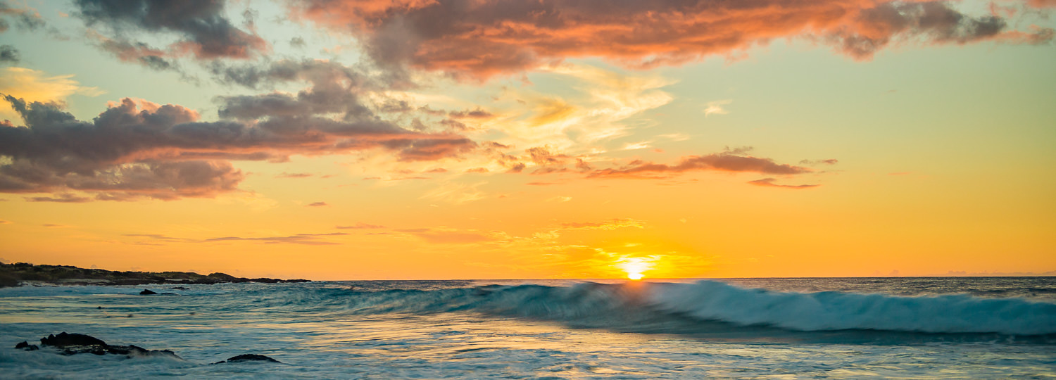 Kohala Coast Fine Art | Big Island Guide