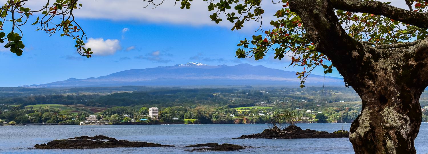 Hilo Bay Hale Bed & Breakfast | Big Island Guide