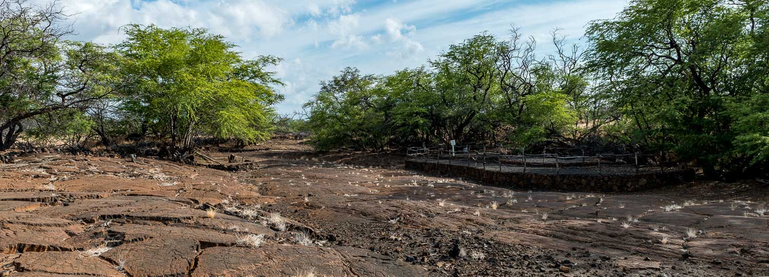 Explore the Waikoloa & Puako Petroglyphs | Big Island Guide