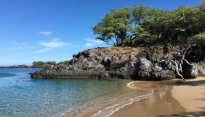 Visit Waialea Bay Beach (Beach 69) | Big Island Guide