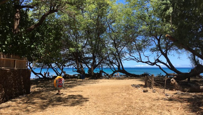 Visit Waialea Bay Beach (Beach 69) | Big Island Guide