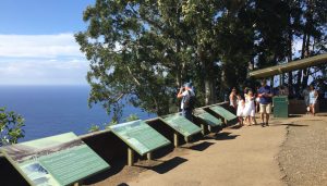 The Waipio Valley - What You Need to Know | Big Island Guide