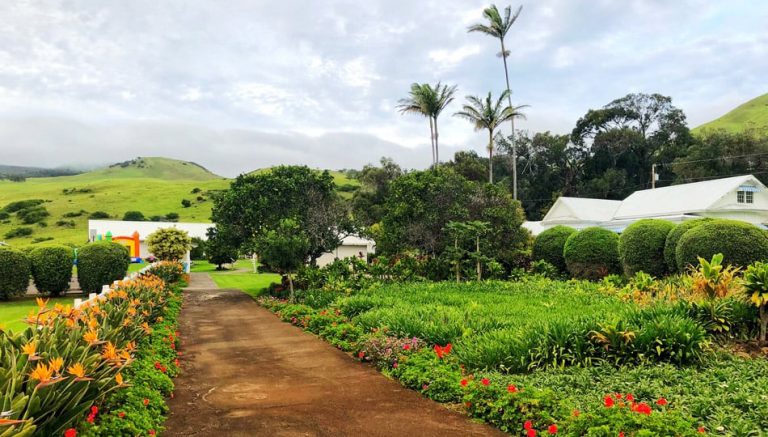 Historic Anna Ranch Wedding Venue | Big Island Guide