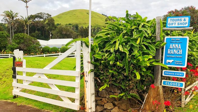 Historic Anna Ranch Wedding Venue | Big Island Guide