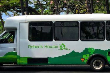 Tours | Big Island Guide