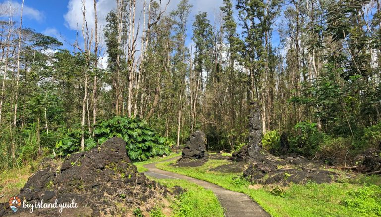 Complete Hawaii Volcano & Lava Viewing Guide | Big Island Guide