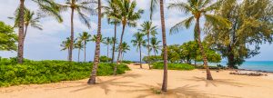 Kikaua Point Beach Park | Big Island Guide
