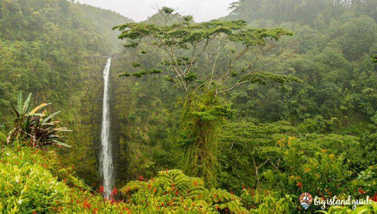 Visit these Breathtaking Big Island Waterfalls | Big Island Guide
