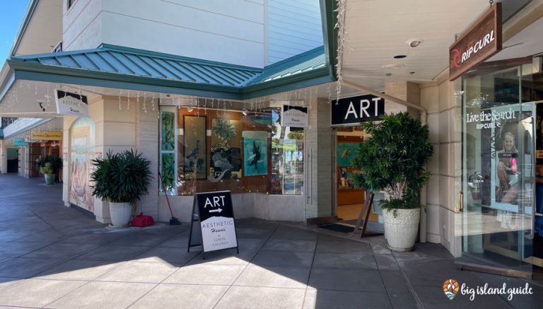 The Kings’ Shops | Big Island Guide